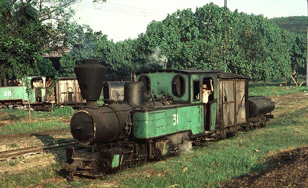 Indonesian Narrow Gauge Mallets - Java