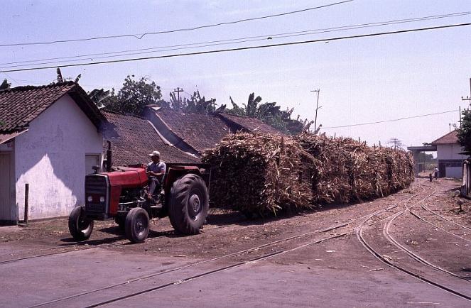 Kanigoro and Pagottan sugar mills