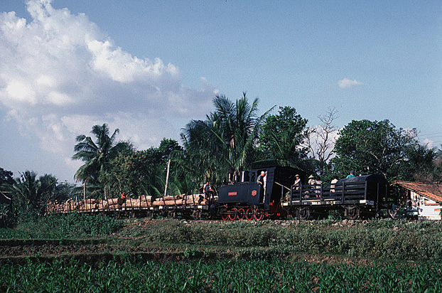 The Cepu Forestry Railway