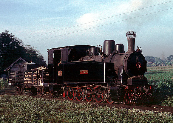 The Cepu Forestry Railway