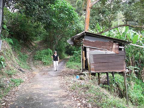 Penang Hills and Trails - Pantai Aceh Ascent