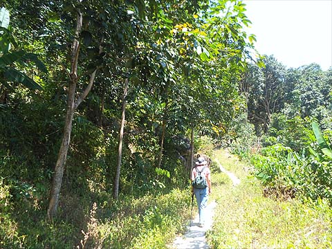 Penang Hills and Trails - The Temple with a View 2015, Part 1