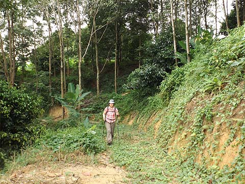 Penang Hills and Trails - Temple with the View Circular 2016