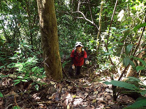 Penang Hills and Trails - Pasir Pandak