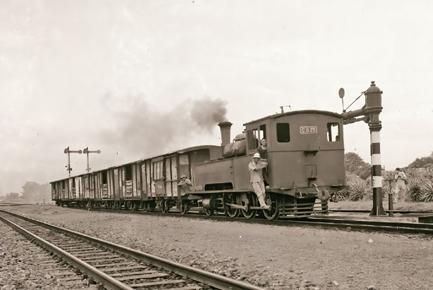 Power Parade Gold - C11 Tank Locomotive