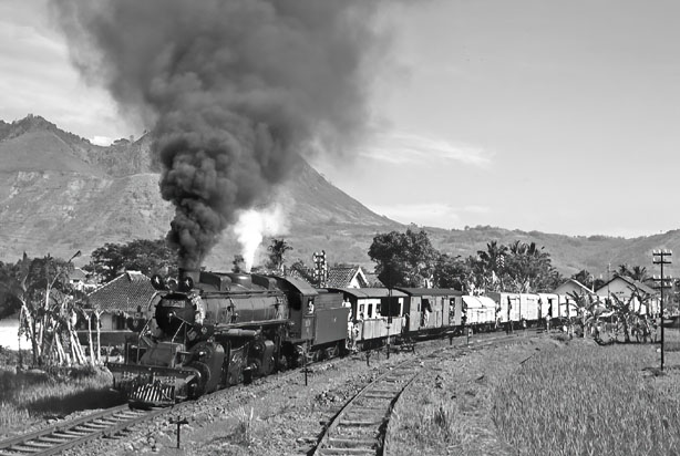 Power Parade Gold - DD52 Mallet Tender Locomotive